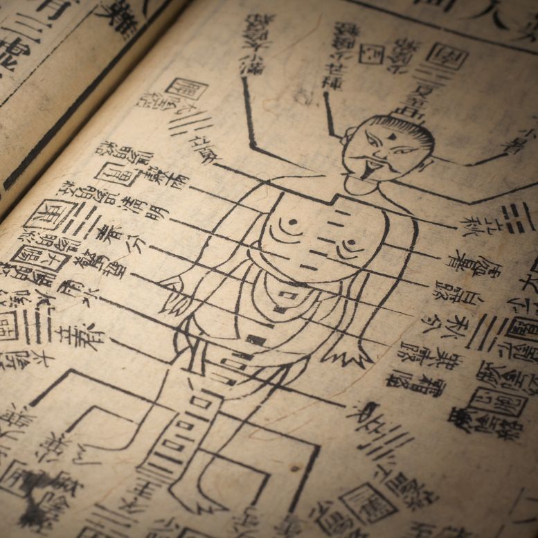 Exploring The Mind - Body Connection in Tradition Chinese Medicine (TCM ...