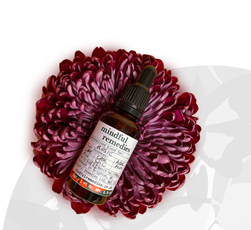 Buy Bach Flower Remedies For Anxiety: Bach Drops For Anxiety – Mindful ...