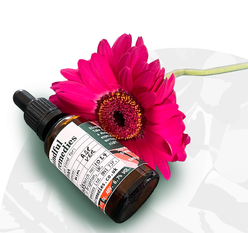 Bach Flower Remedies For Happiness, Low Mood & Depression – Mindful ...